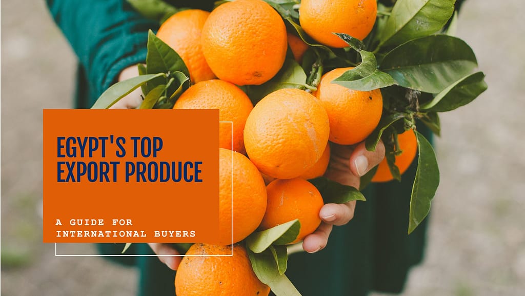 Cómo beneficiarse de la exportación de frutas y hortalizas de Egipto : Una visita obligada para ...
